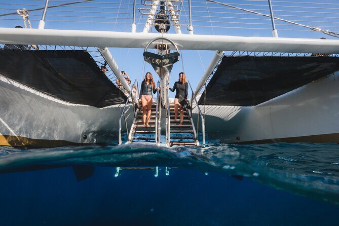 Turtles & Tacos Luxury Catamaran Snorkel - Authentic Review Highlights