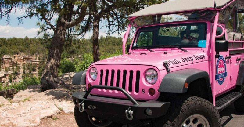 Tusayan: Grand Canyon Desert View & South Rim Pink Jeep Tour - What Sets This Tour Apart?