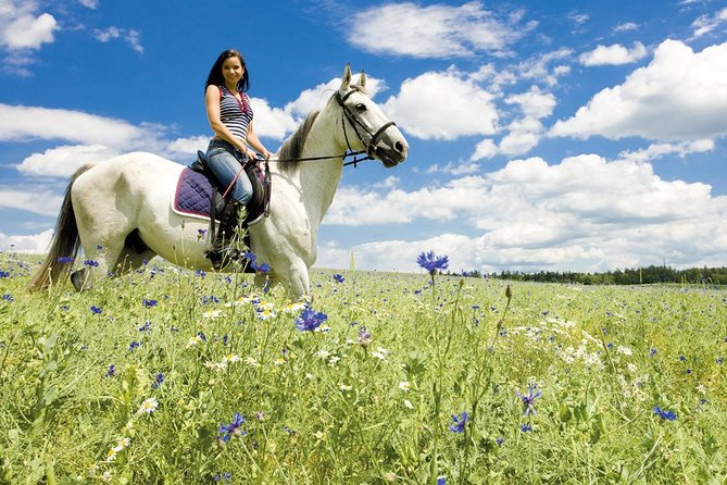Tuscan Chianti Hills Horseback Riding Tour - Customer Feedback