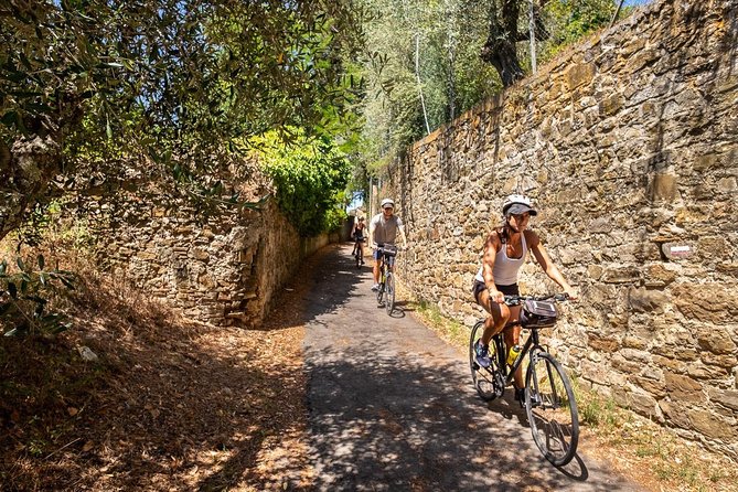 Tuscan Country Bike Tour With Wine and Olive Oil Tastings - Customer Feedback and Reviews