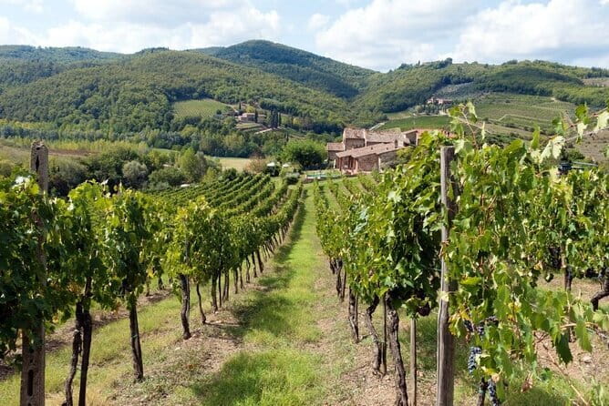 Tuscan countryside bike tour and food tasting - The Booking Experience and Flexibility