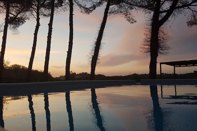 Tuscan Dinner in a Villa in an Ancient Siena Olive Grove - The Culinary Journey