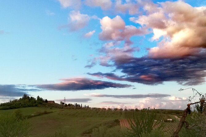 Tuscan Dinner in a Villa in an Ancient Siena Olive Grove - Authenticity and Guest Experience