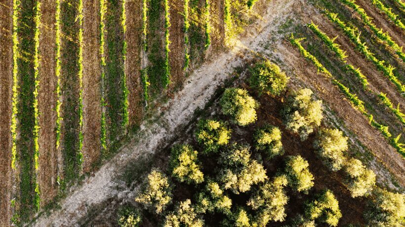 Tuscan Lunch & Winery Tour with Tasting in San Gimignano - The Practical Side