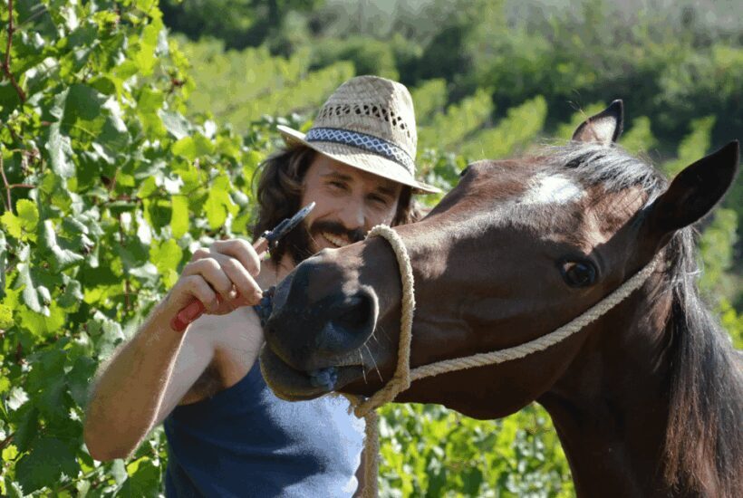 Tuscan Lunch & Winery Tour with Tasting in San Gimignano - FAQs