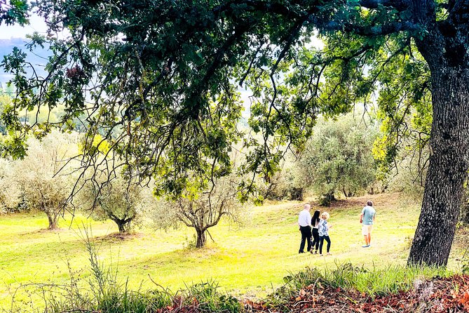 Tuscan picnic - An In-Depth Look at the Tuscan Picnic Experience