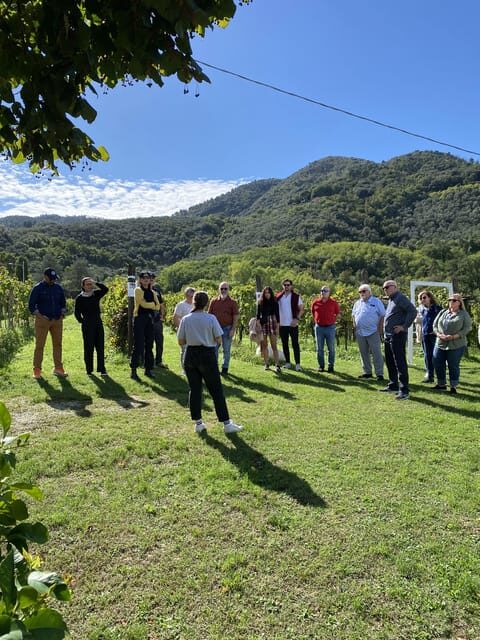 Tuscan Wine Tour by van from Lucca - What Makes This Tour Special?