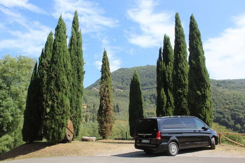Tuscan Wine Tour by van from Pisa - An Authentic Taste of Tuscany’s Wine Culture