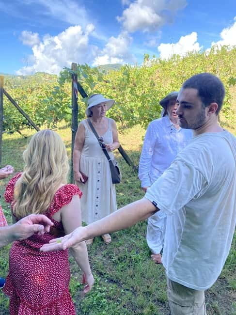 Tuscan Wine Tour by van from Pisa - Practical Aspects & Value