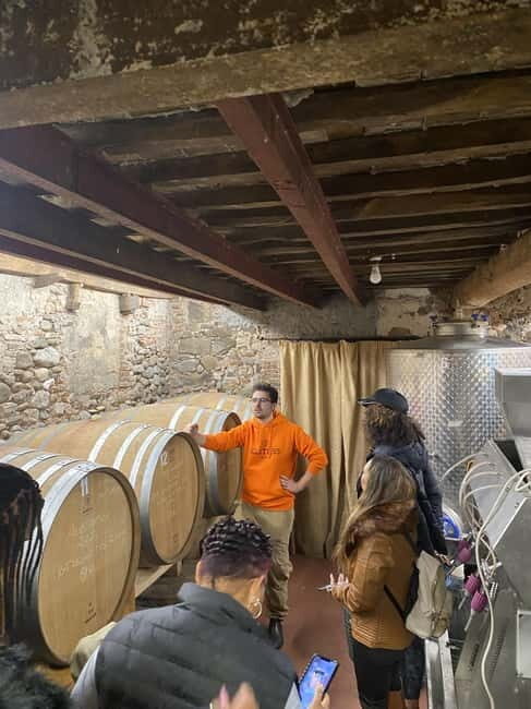 Tuscan Wine Tour by van from Pisa - Who Will Love This Tour?