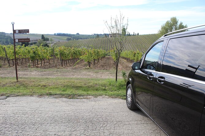Tuscan Wine Tour in Pisa by van - Who Will Love This Tour?