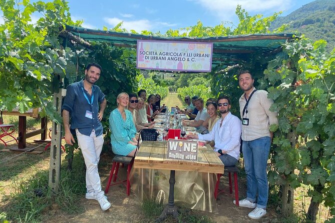 Tuscan Wine Tour in Pisa by van - Final Thoughts: Is This Tour Right for You?