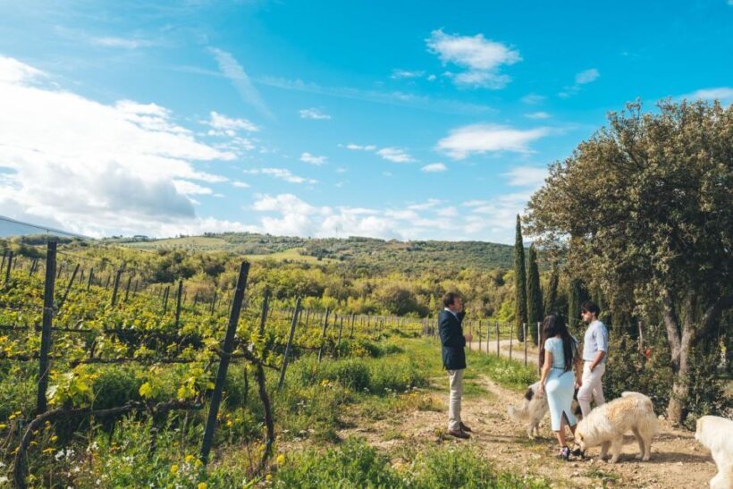 Tuscany: 3 days as a Winemaker in Wine Resort with pool - Final Thoughts