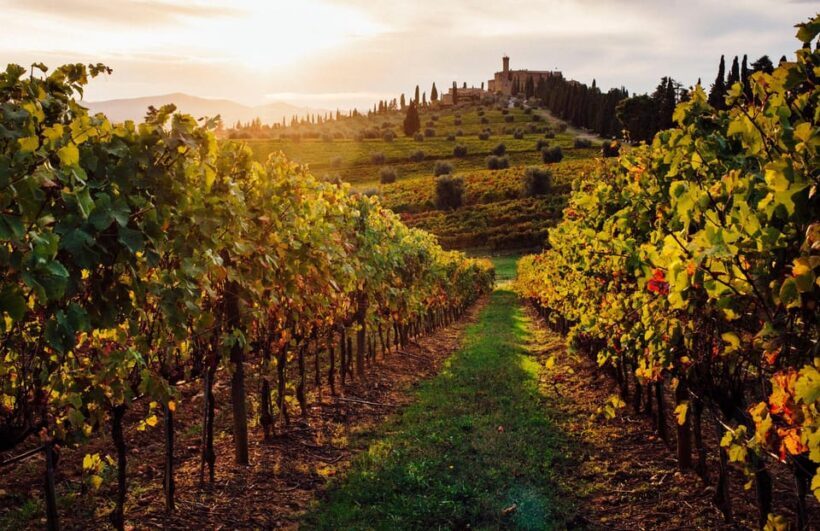 Tuscany & Assisi Small Group Day Trip from Rome with Wine - FAQ