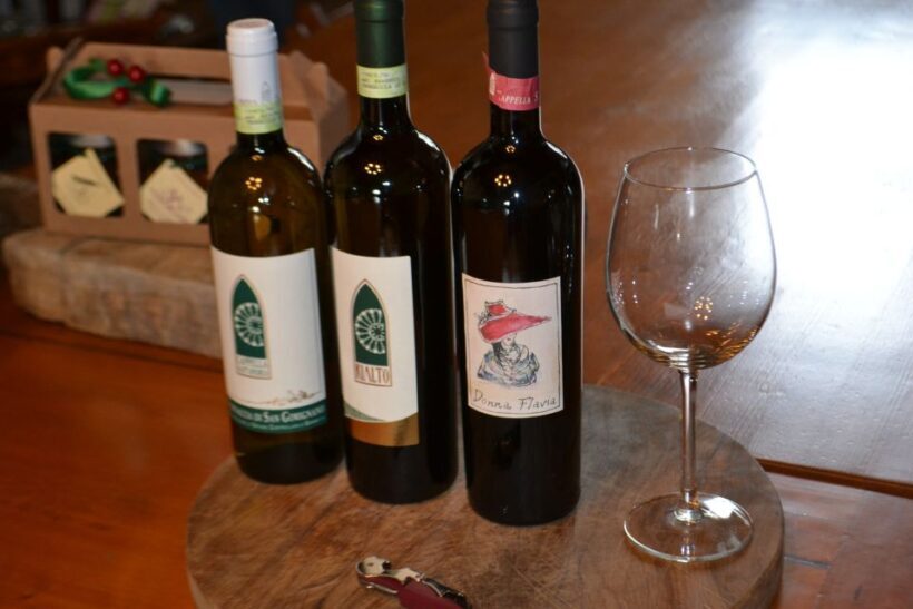 Tuscany: Chianti & San Gimignano Wine Tour from Florence - Who Will Love This Tour?