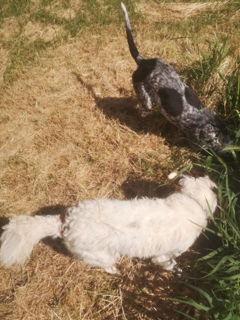 Tuscany Crete Senesi : Truffle Hunting Tour - The Guided Experience: Knowledge and Passion