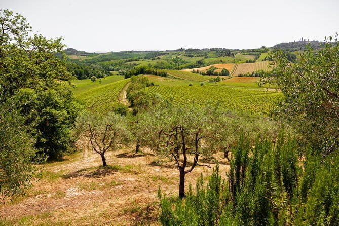 Tuscany Day Trip from Florence: Siena, San Gimignano, Pisa and Lunch at a Winery - The Day in Detail: What to Expect