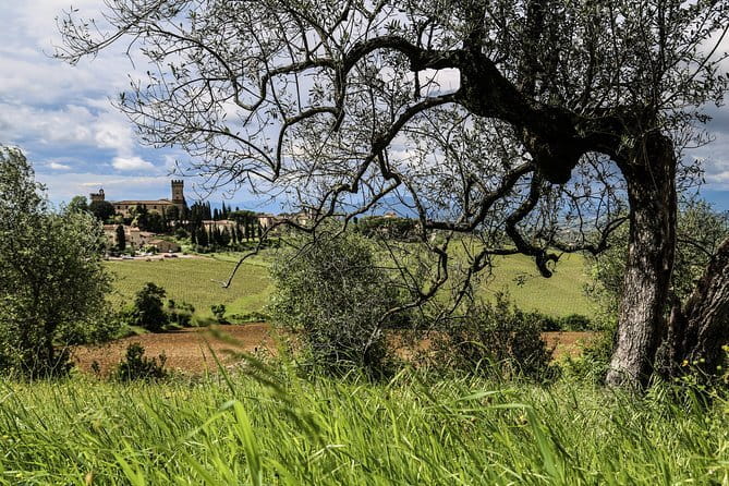 Tuscany E-Bike Tour: from Florence to Chianti with lunch and tastings - Final Thoughts