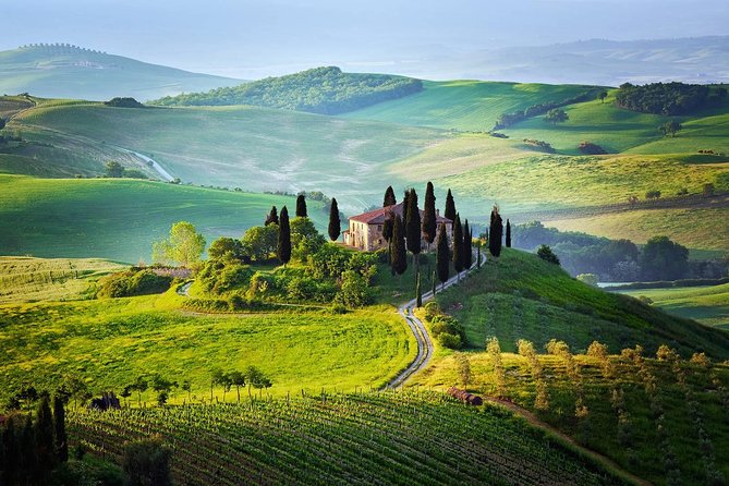 Tuscany from Rome , Montepulciano & Pienza with wine tasting and Lunch included - Detailed Itinerary Breakdown
