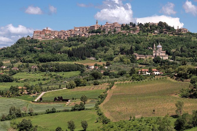Tuscany from Rome , Montepulciano & Pienza with wine tasting and Lunch included - Why This Tour Stands Out