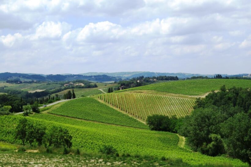 Tuscany: Full-Day Luxury Minivan Tour with Siena and Pisa - Discovering Tuscany in a Day