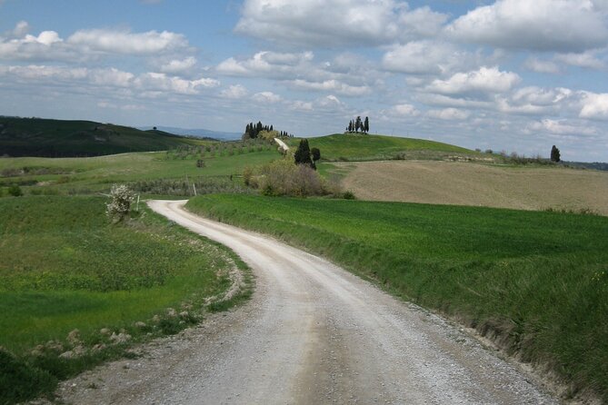 Tuscany Hiking Tour From Siena Including Wine Tasting - Scenic Highlights