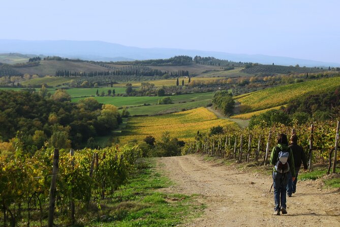 Tuscany Hiking Tour From Siena Including Wine Tasting - Tour Inclusions