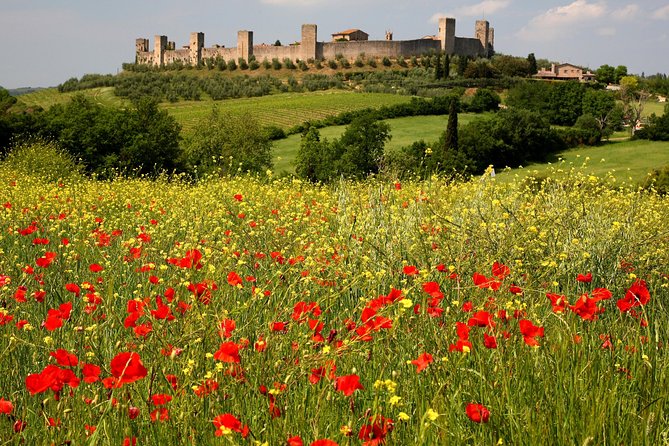 Tuscany Hiking Tour From Siena Including Wine Tasting - Group Size and Accessibility