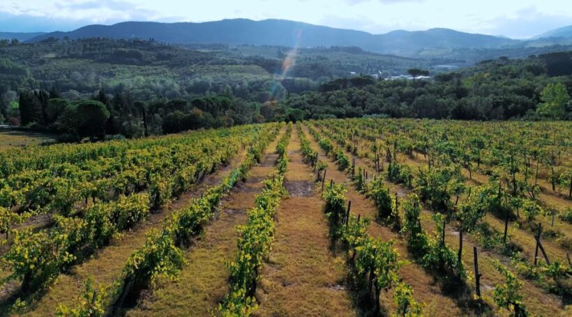 Tuscany: Immersive Winery + tasting (4 wines) - The Bottom Line: Is It Worth It?