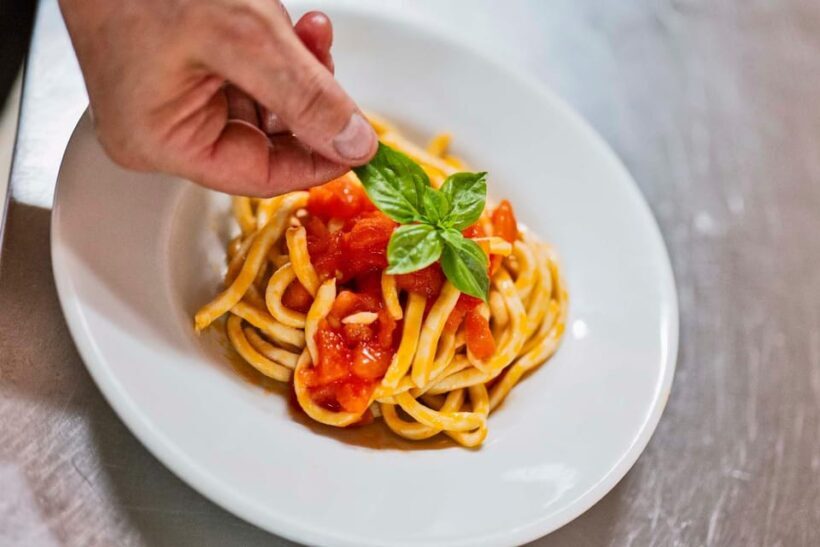 Tuscany: Pici Pasta Cooking Class with Farm Tour & Lunch - What Is the Experience Like?