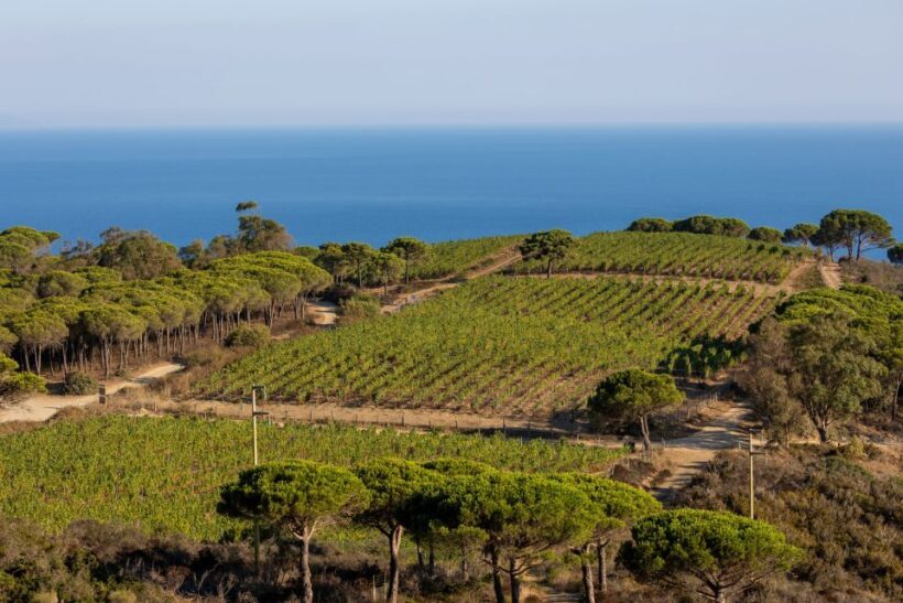 Tuscany: Ripalte Design Winery Wine and Cheese Tasting Tour - The Start: Meeting at Tenuta delle Ripalte