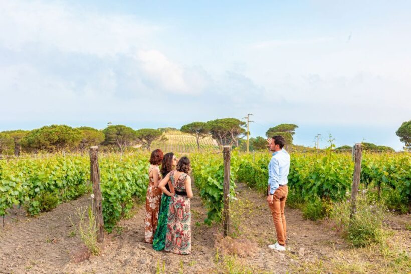 Tuscany: Ripalte Design Winery Wine and Cheese Tasting Tour - The Winemaking Process and Tasting