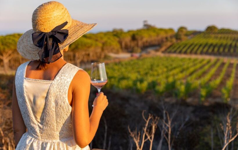 Tuscany: Ripalte Design Winery Wine and Cheese Tasting Tour - Scenic Views and Atmosphere
