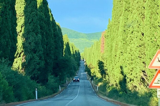 Tuscany Seaside Tour and Wineries from Livorno - Florence and Siena: Highlights of Italy’s Artistic Heart