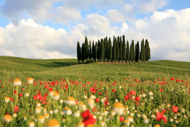 Tuscany Tour: Montepulciano, Pienza & Montalcino - The Practical Side: Transport, Timing, and Cost