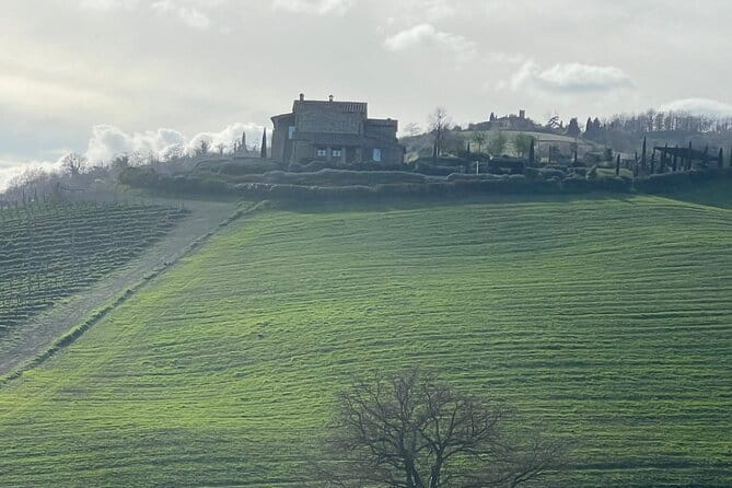 Tuscany Tour Siena - San Gimignano - Winery - FAQ