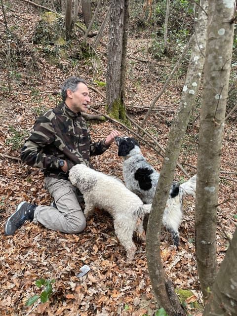 Tuscany: Truffle Hunting Experience with Tasting - Key Points