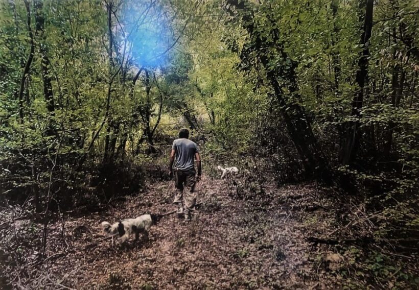 Tuscany: Truffle Hunting Experience with Tasting - Final Thoughts
