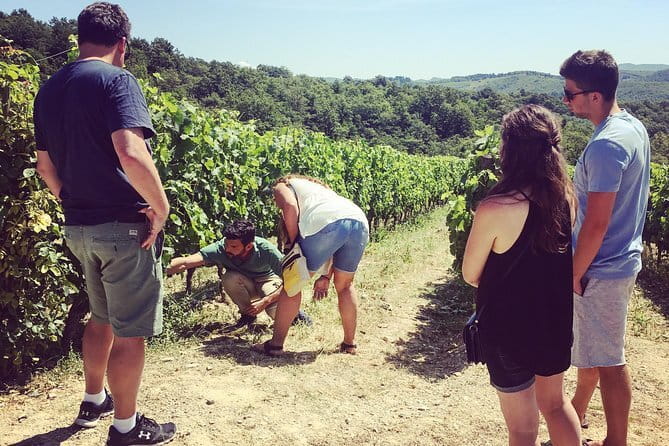 Tuscany Vespa Tours Through the Hills of Chianti - Practical Details and Value