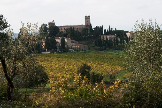 Tuscany Vespa Tours Through the Hills of Chianti - FAQ
