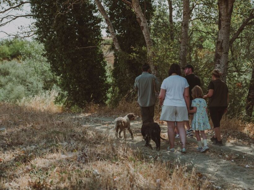 Tuscany: Volterra Truffle Hunting with Lunch or Dinner - An Introduction to the Experience
