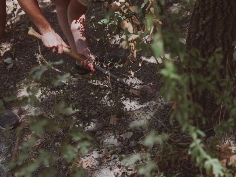Tuscany: Volterra Truffle Hunting with Lunch or Dinner - FAQ