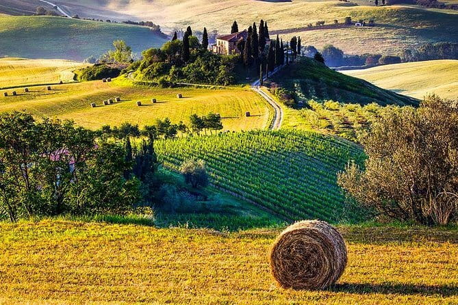 Tuscany Wine & Hills from Florence - The Itinerary: What You’ll See and Do