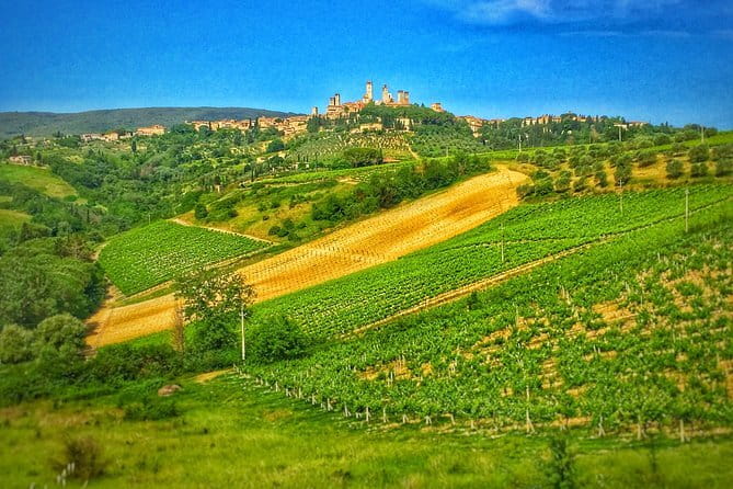 Tuscany Wine & Hills from Florence - Authentic Experiences and Real Traveler Insights