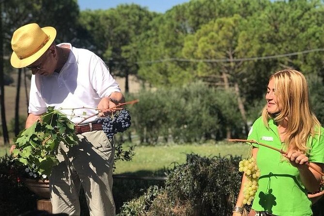 Tuscany Wine & Hills From Siena - Exploring the UNESCO-listed Town of Pienza