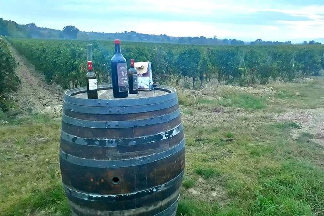 Tuscany Wine & Hills From Siena - Transportation and Comfort During the Tour