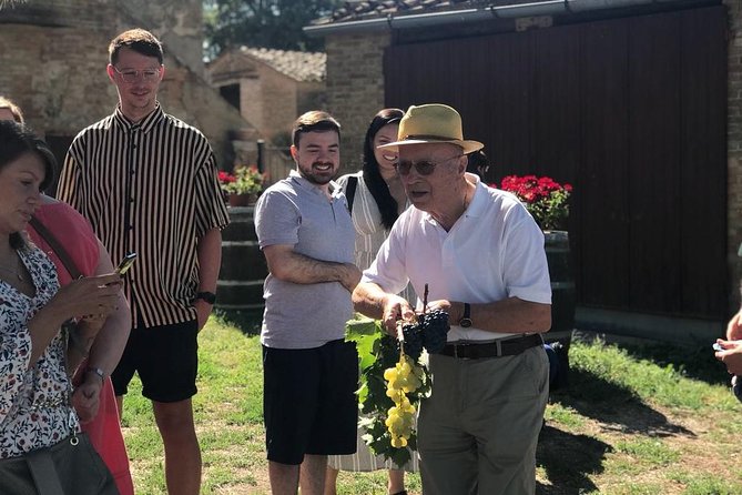 Tuscany Wine & Hills From Siena - Accessibility and Group Size Information