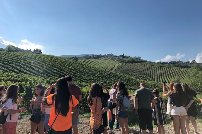 Tuscany Wine Tastings With Panoramic View - Florence to Chianti - Customer Experience and Feedback