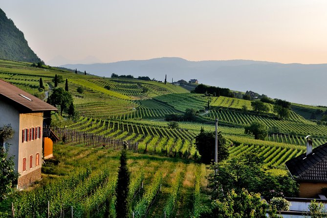 Tuscany Wine Tour From Rome With Private Driver - Wine Tasting and Culinary Delights