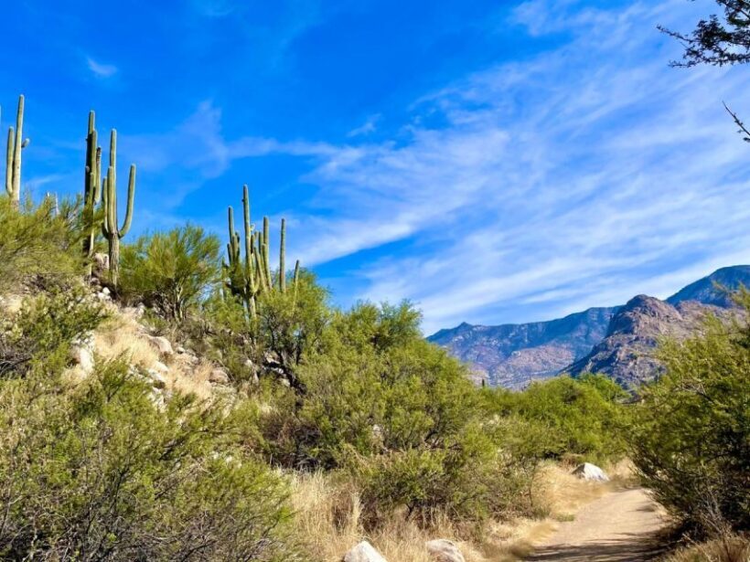 Tuscon: Rancho Cerros Horseback Riding Tout with Great Views - Who Will Love This Tour?